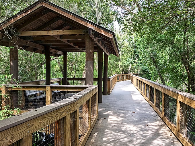 Rest stop redefined: This ain't your average highway pit stop. Trade gas station coffee for a cup of pure tranquility.