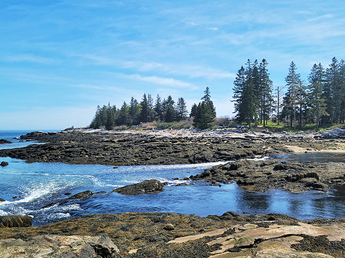 Blue on blue on blue – it's like Mother Nature went crazy with her favorite crayon, and we're here for every cerulean second of it.