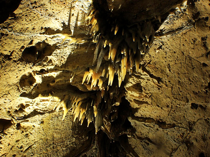 Nature's own chandelier shop! These stalactites look ready to grace the ceiling of the fanciest limestone ballroom you've ever seen.