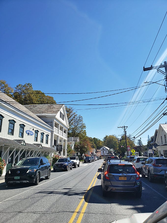 Bartleby's Books: where Main Street meets Narnia. This quaint Vermont town proves that sometimes, the best adventures begin with a single step into a local bookstore.