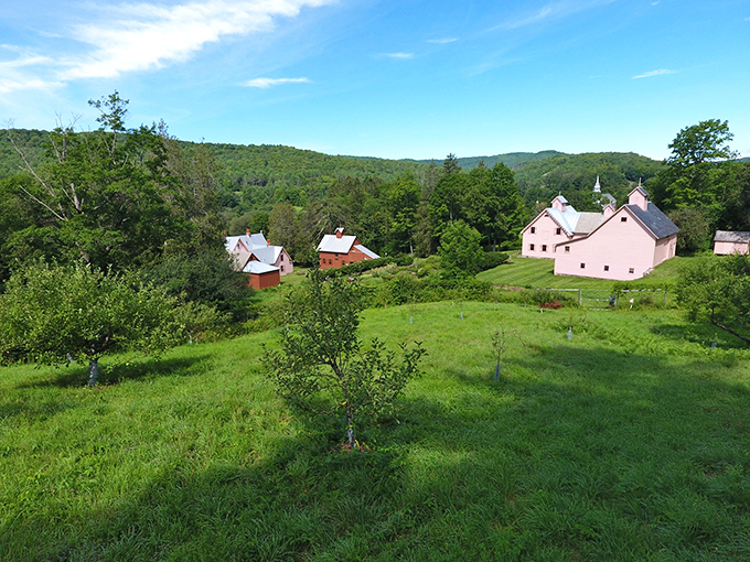 A bird's eye view that proves even 19th-century farmers knew the importance of curb appeal. Talk about a pink-collar lifestyle!