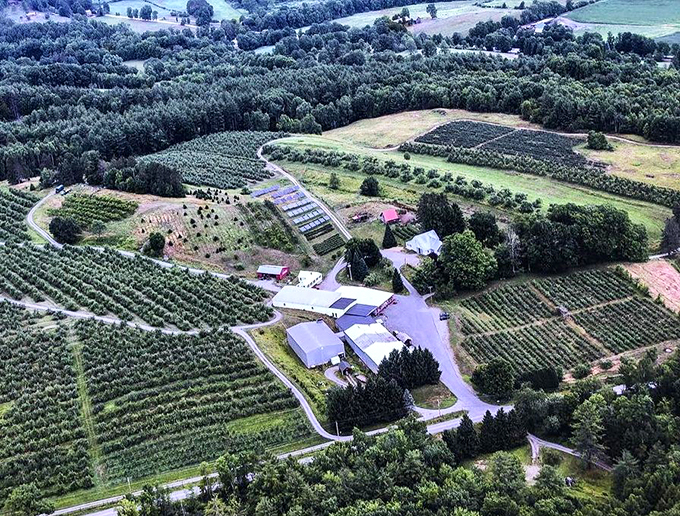 An aerial view that looks like a patchwork quilt of deliciousness. Who knew farming could be so photogenic?