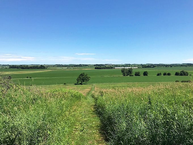 Follow the yellow brick&hellip; err, grassy road! This trail promises adventure, stunning views, and maybe a wizard (but probably just more bison).
