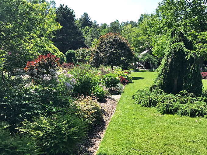 Garden goals or real-life Windows desktop background? This view is so perfect, you'll be checking for pixels &ndash; but nope, it's 100% Mother Nature's handiwork!