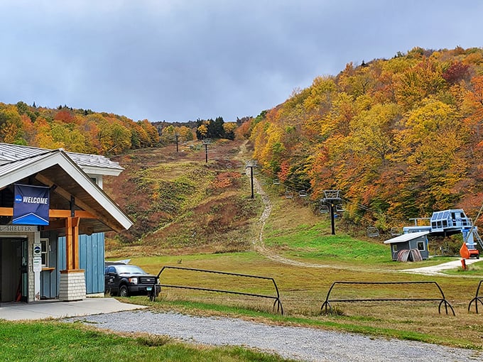 Middlebury Snow Bowl: Where smart meets slope. These trails are as well-designed as a liberal arts curriculum.