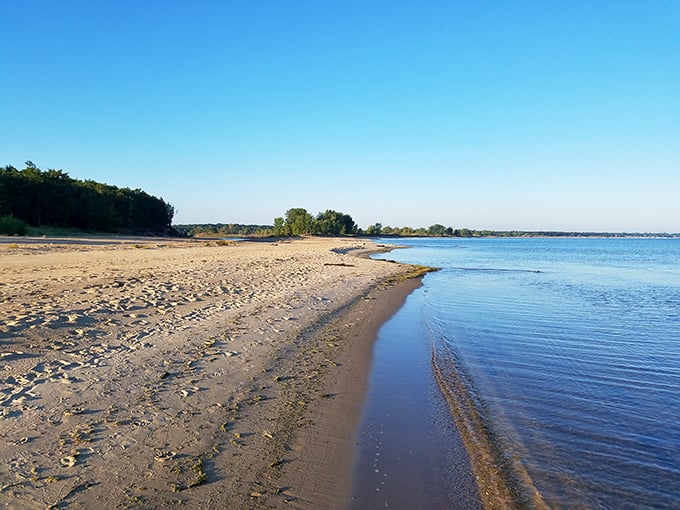 Port Crescent's waters dazzle. It's like someone spilled a jar of glitter across the ocean.