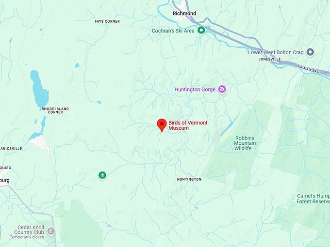 16. birds of vermont museum map