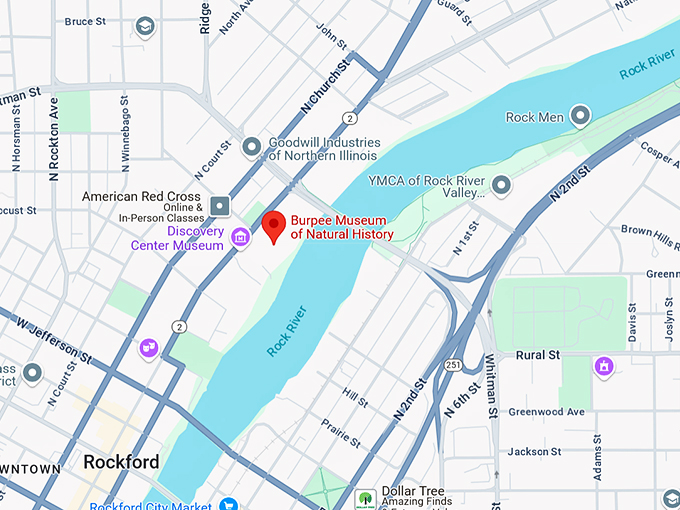 16. burpee museum of natural history map