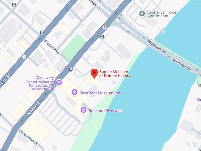 16. burpee museum of natural history map