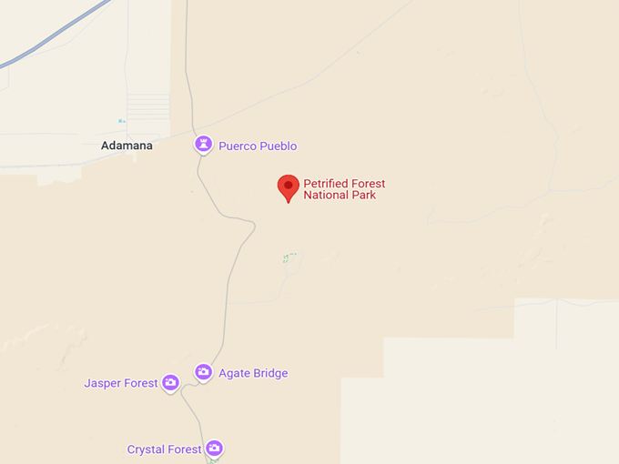 16. petrified forest national park map