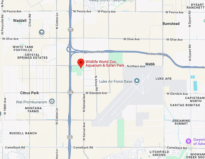 16. wildlife world zoo, aquarium & safari park map