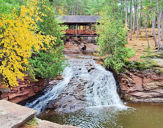 That rustic covered bridge overlooking Amnicon Falls looks like someone designed it specifically for autumn photographs and romantic proposals.