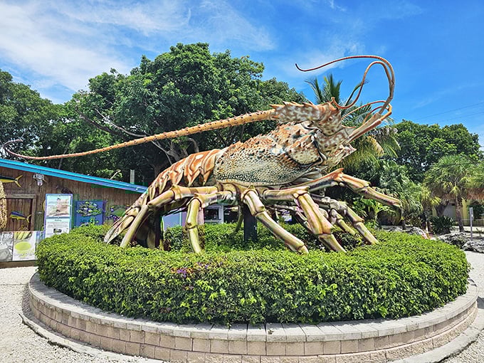 Holy crustacean, Batman! This 30-foot lobster makes me feel like I've shrunk faster than my swimsuit after Thanksgiving dinner.