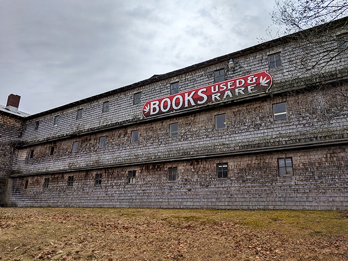 Books, books everywhere! This literary labyrinth is a bibliophile's dream come true.