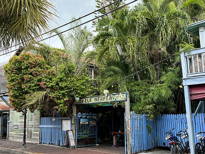 Blue Heaven's entrance: A tropical oasis hiding in plain sight. This Key West gem promises more than just great food&mdash;it's a feast for the senses!