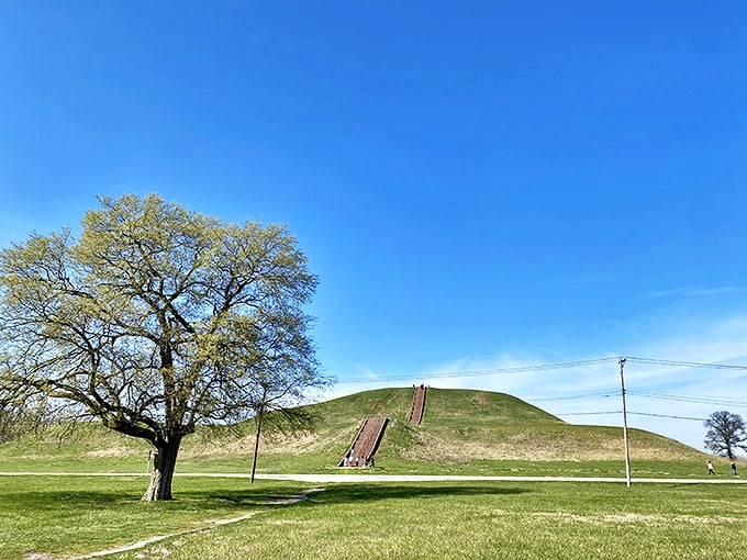 Roadside attraction meets ancient wonder! Pull over for a journey through time at Cahokia Mounds, where history rises from the earth. 