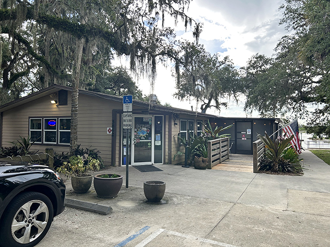 Captain's BBQ: Where Spanish moss meets smoky bliss! This hidden gem looks like it sailed straight out of a pirate's tale.