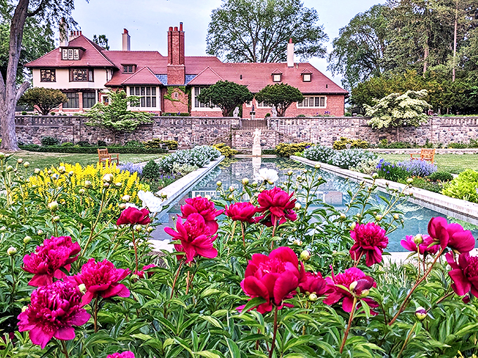 Cranbrook's pink paradise! This garden could make even the grumpiest Darcy crack a smile. Peonies and reflection pools? It's like nature's own Instagram filter.