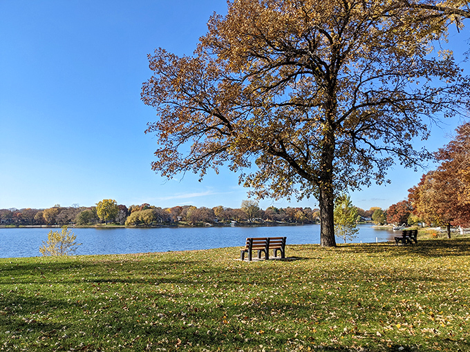 Autumn's canvas unfolds at Crooked Lake. Nature's own masterpiece, with a bench for front-row seating to this leafy spectacle.