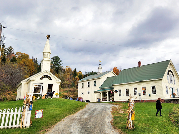 Bark if you love road trips: A pit stop where your furry co-pilot becomes the star of the show.