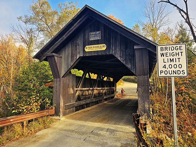 Spooky meets scenic! Emily's Bridge invites brave souls to cross into a world where history and mystery collide.