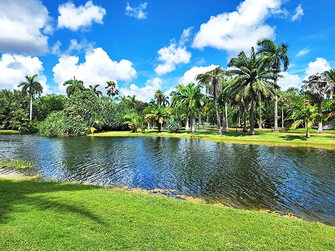 Tropical tranquility at its finest. This serene lake view is Mother Nature's way of saying, "Chill out, Florida style!"