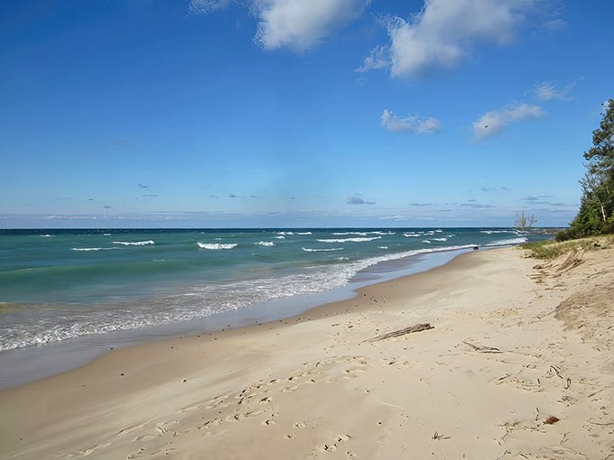 Endless horizons meet golden sands. Fisherman's Island State Park: where Lake Michigan whispers secrets to the shore.