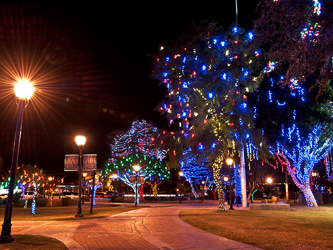 Glendale's Murphy Park: Where Christmas trees party harder than Times Square on New Year's Eve!