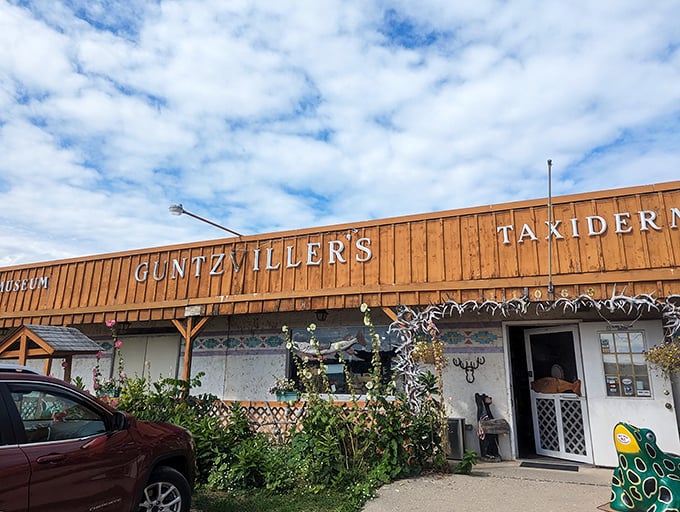 Welcome to Guntzviller's, where taxidermy meets whimsy! This wooden wonderland is like a quirky Noah's Ark, minus the flood and plus a whole lot of personality.