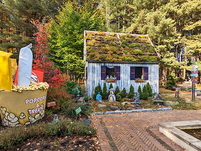 Cruise into a colorful cosmos! This garden oasis is the perfect place to stretch your imagination and your legs.