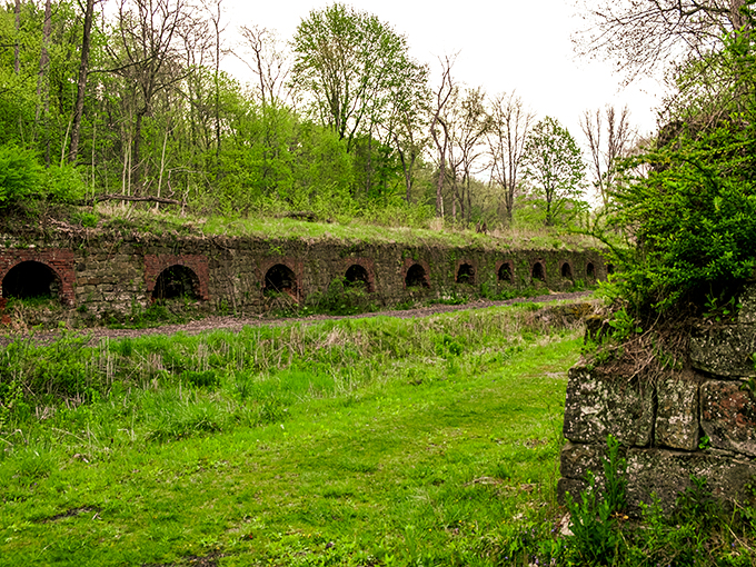 Nature's reclamation project! These beehive coke ovens look like hobbit homes gone industrial. Time and trees are slowly embracing these brick relics.