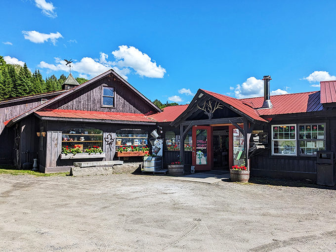 Farm-fresh flavor with a side of nostalgia. Morse Farm's stand beckons like a siren song to syrup lovers.