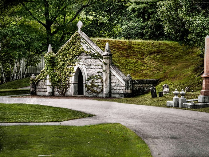 Where the past meets the present... and occasionally says "boo!" Mount Hope Cemetery: history with a side of goosebumps.