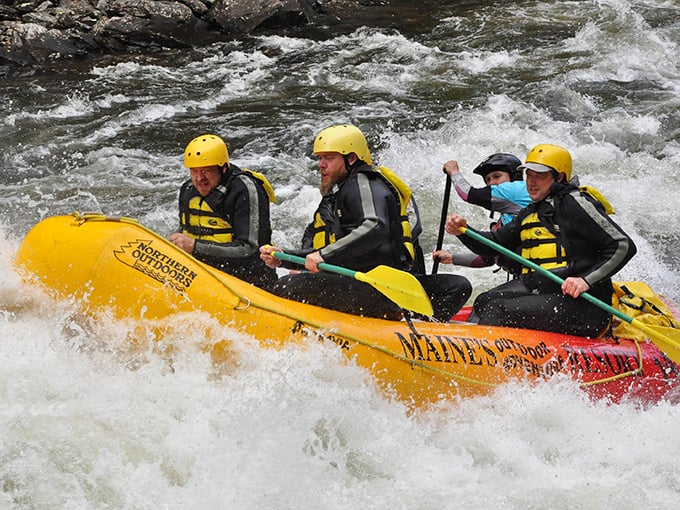 Road warrior's oasis: Where the journey pauses but the adventure never stops.