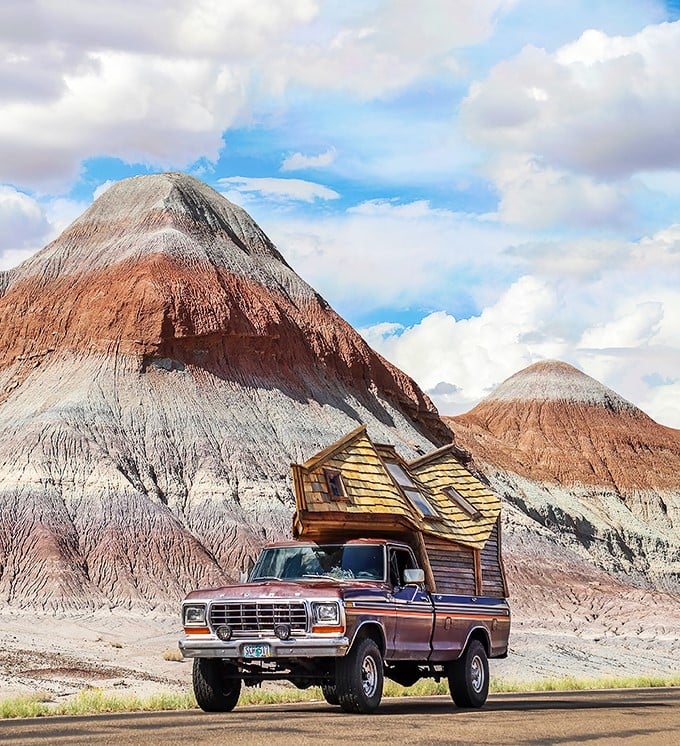 Nature's time capsule: Crystallized logs paint a prehistoric picture, inviting you to step back millions of years.