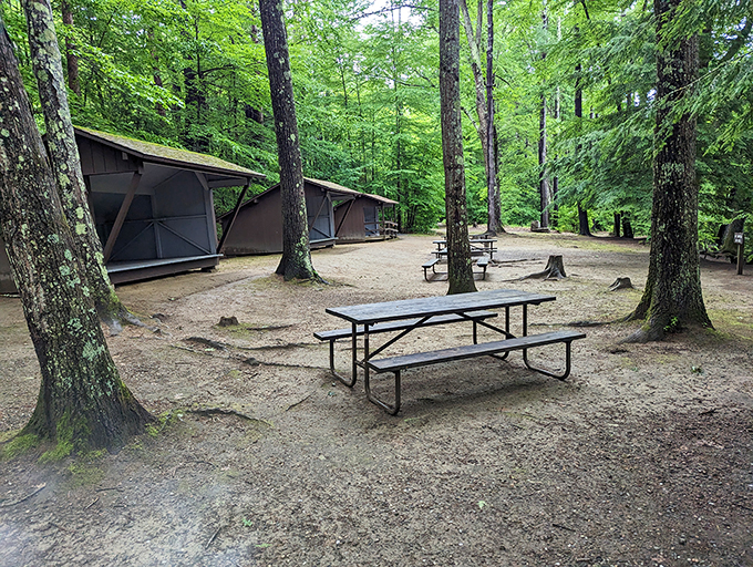 Cozy cabins nestled in nature's embrace. These lean-tos are the Goldilocks of camping &ndash; not too rustic, not too fancy, just right!