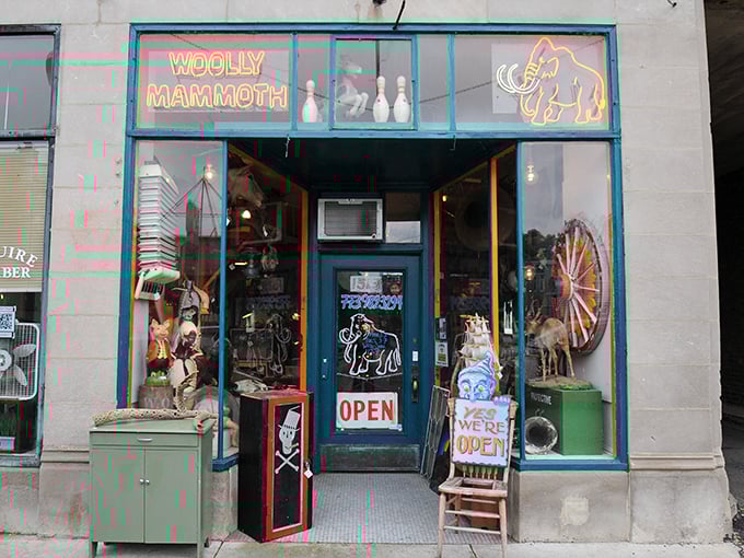 Roadside attraction meets cabinet of curiosities. Woolly Mammoth is the perfect pit stop for wonder-seekers.