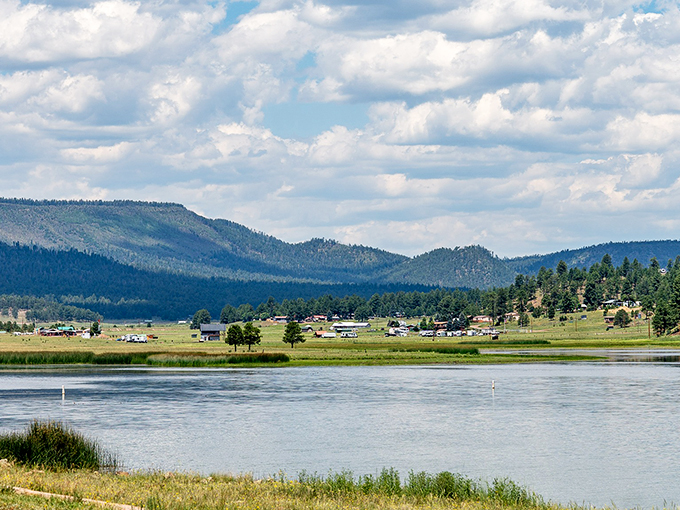 Where the cows have the best views: Alpine's pastoral paradise makes even grazing look glamorous.