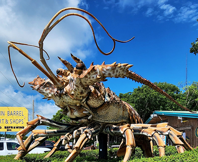 Talk about a seafood special! Betsy's waving her giant claws, saying, 'Hey, I'm not on the menu!' in Islamorada.