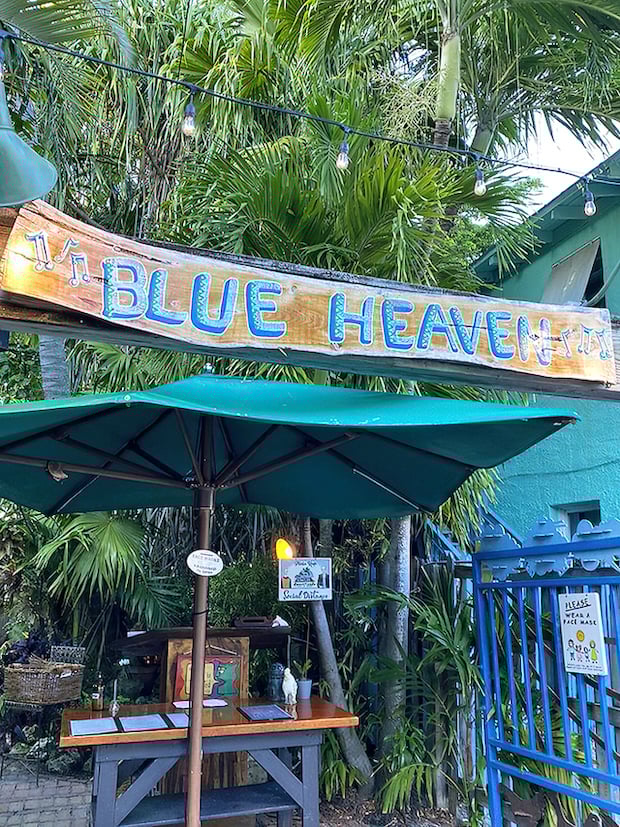 Blue Heaven's outdoor seating: Dine under the stars (and string lights) at Blue Heaven. It's like a backyard BBQ, but with gourmet flair!