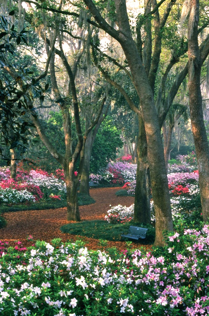 Blooming marvelous! Bok's pathways are like nature's red carpet, leading to floral VIP sections and A-list reflection pools.