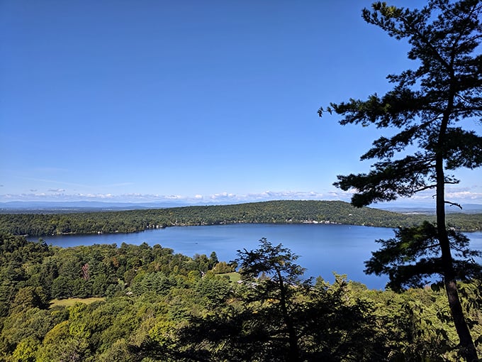 Mountain-framed serenity: Where forest meets lake in a landscape so perfect, Bob Ross would weep with joy.