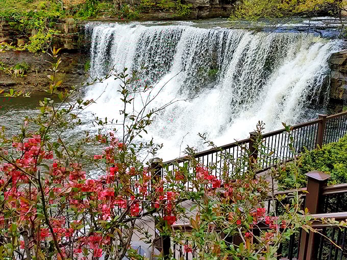 Who needs a fountain of youth when you've got this timeless beauty? Chagrin Falls is Ohio's natural facelift.