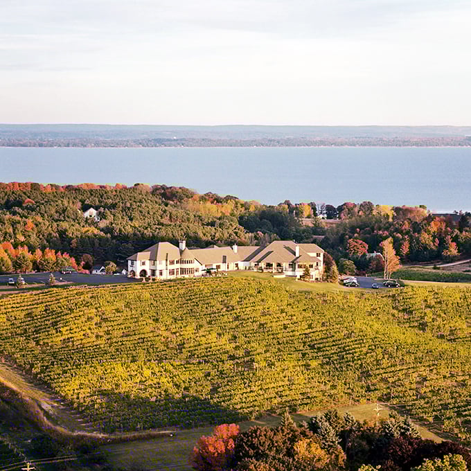 Autumn's palette meets vineyard views. It's like Mother Nature decided to throw a party, and everyone's invited.