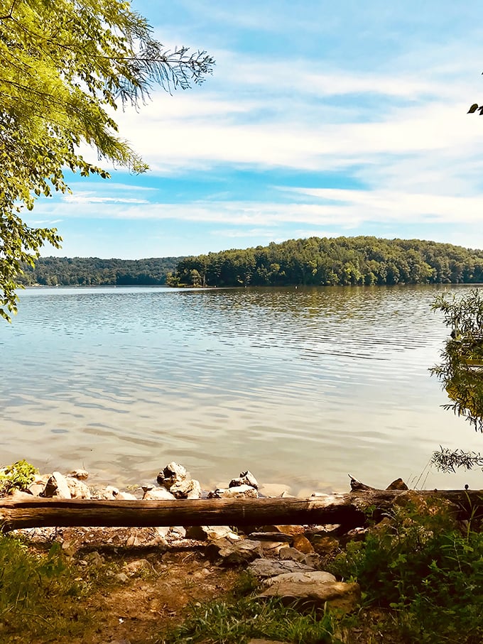 Road trip treasure: Clendening Lake, where the journey meets jaw-dropping scenery.