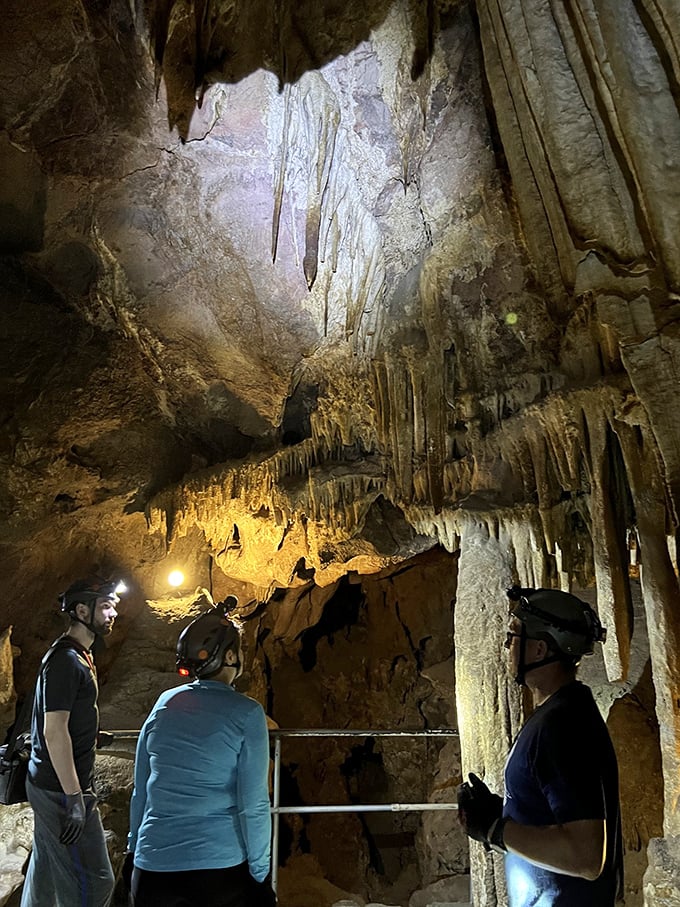 "Colossal" is right! This cave entrance is like the VIP section of Earth's underground club scene. Time to party like it's 199... million years ago.