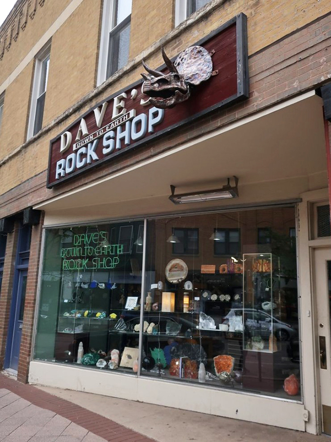 Inside, it's a treasure trove that'd make Indiana Jones jealous. Fossils and crystals compete for your attention like kids at a talent show.