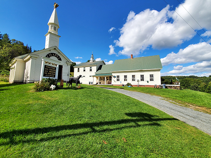 Detour to delight: Where the journey takes a playful turn, and tails never stop wagging.