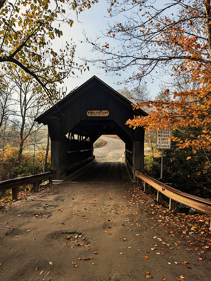 Autumn's golden touch transforms this haunted bridge into a postcard-perfect scene. Ghost sightings not guaranteed, but highly anticipated!