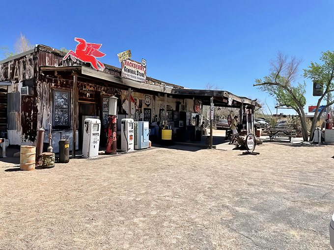 Step inside for a treasure trove of Route 66 memorabilia. It's like your grandpa's attic, but with better souvenirs and fewer cobwebs.